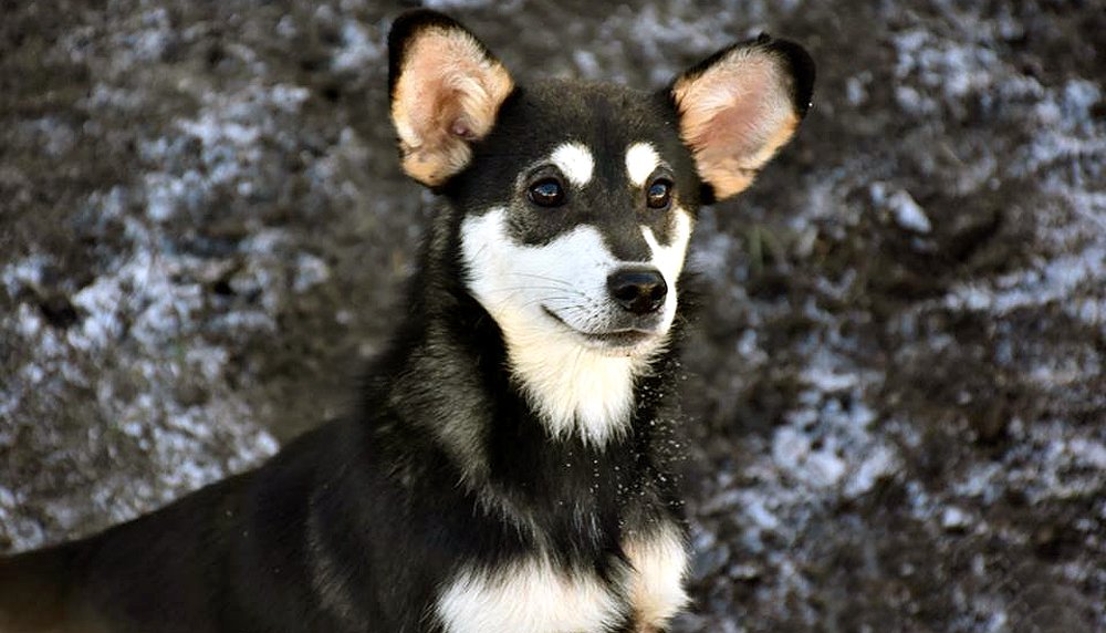 Zaginął dom - Tupek | Miasto z Wizją